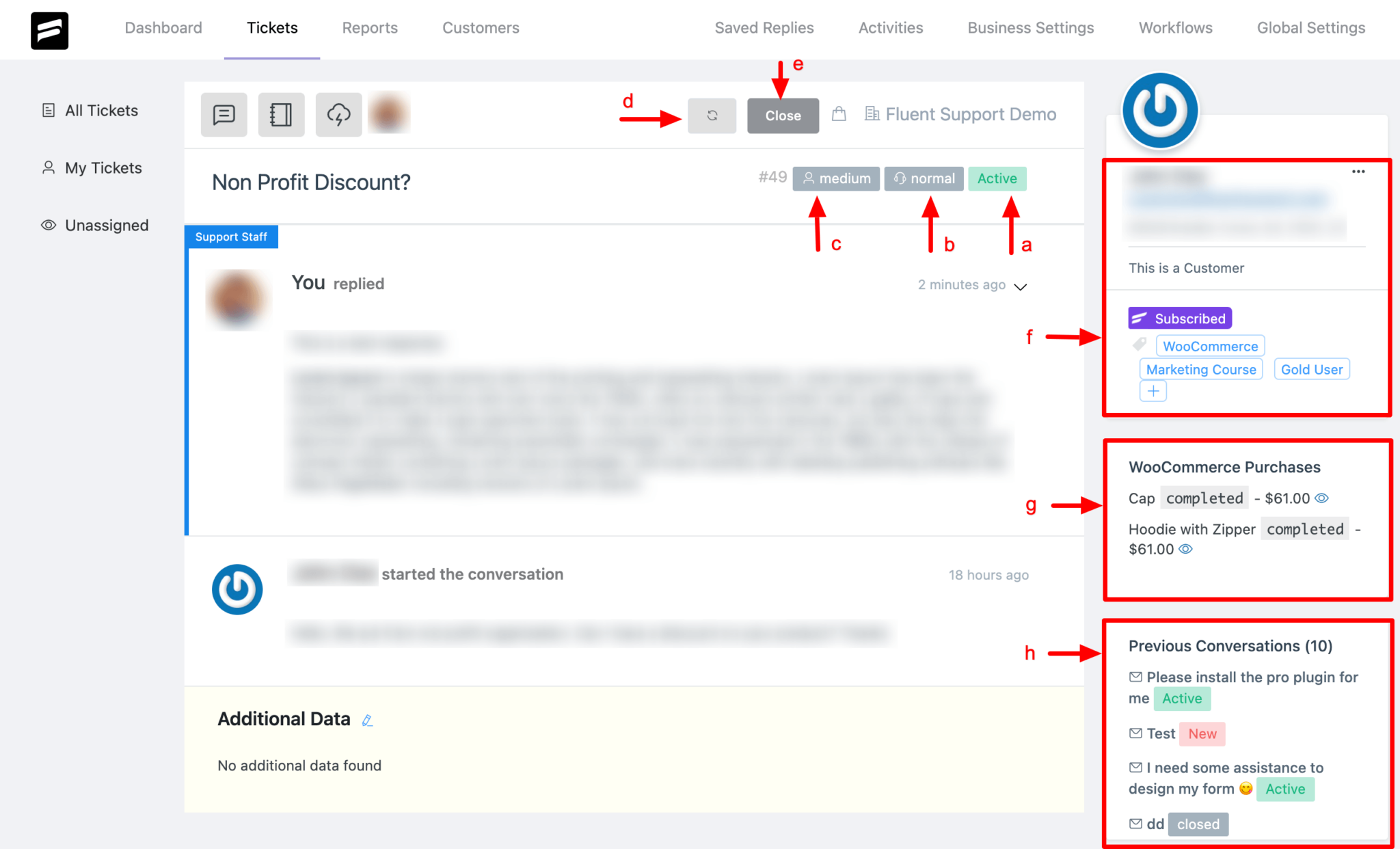 View & Manage Ticket Entries - Fluent Support